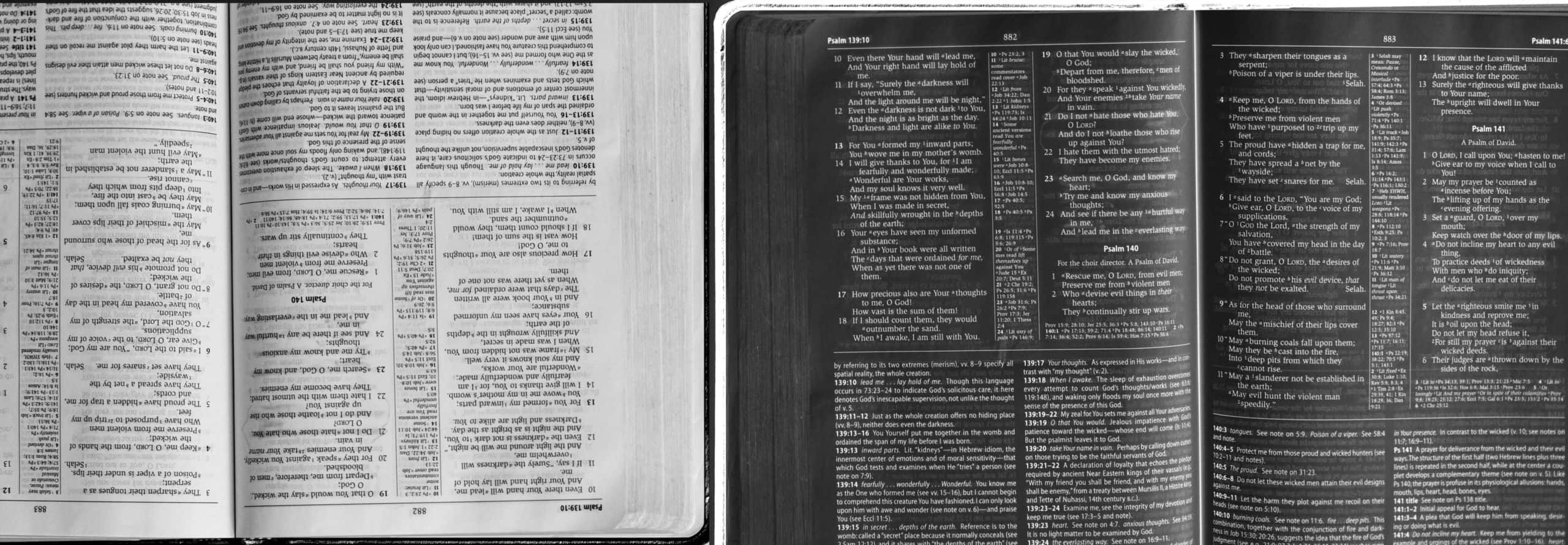 The Bible in Black & White: Lessons from the Postemancipation South ...